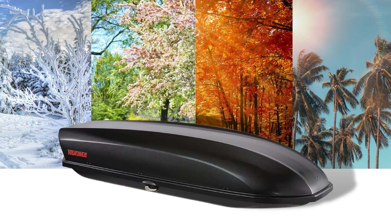 14 Best Cargo Boxes And Their Differences