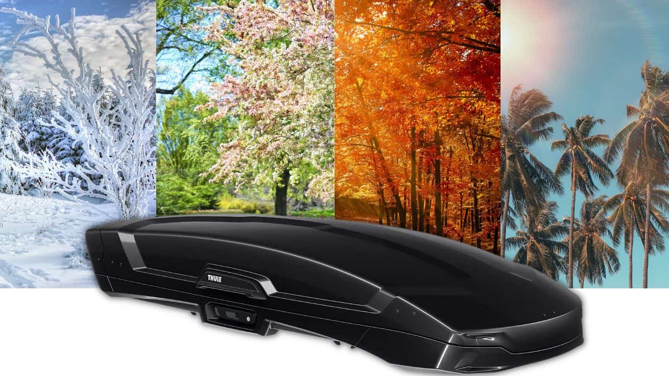 14 Best Cargo Boxes And Their Differences