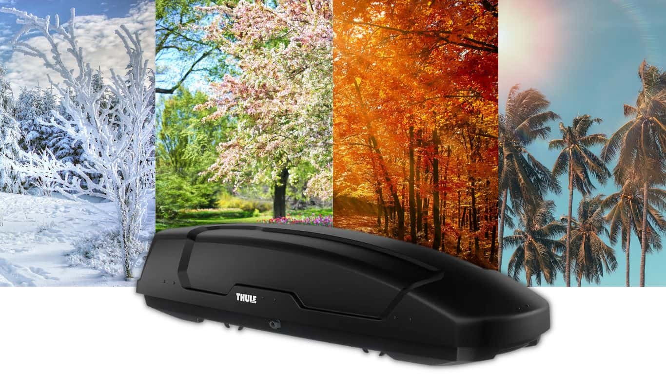 14 Best Cargo Boxes And Their Differences