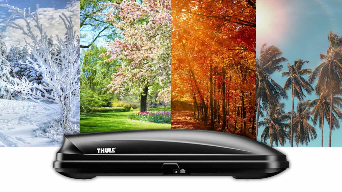 14 Best Cargo Boxes And Their Differences