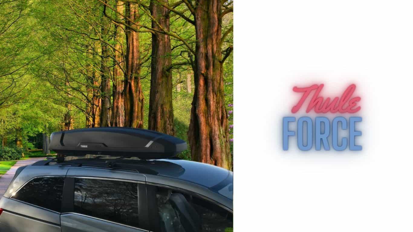 14 Best Cargo Boxes And Their Differences