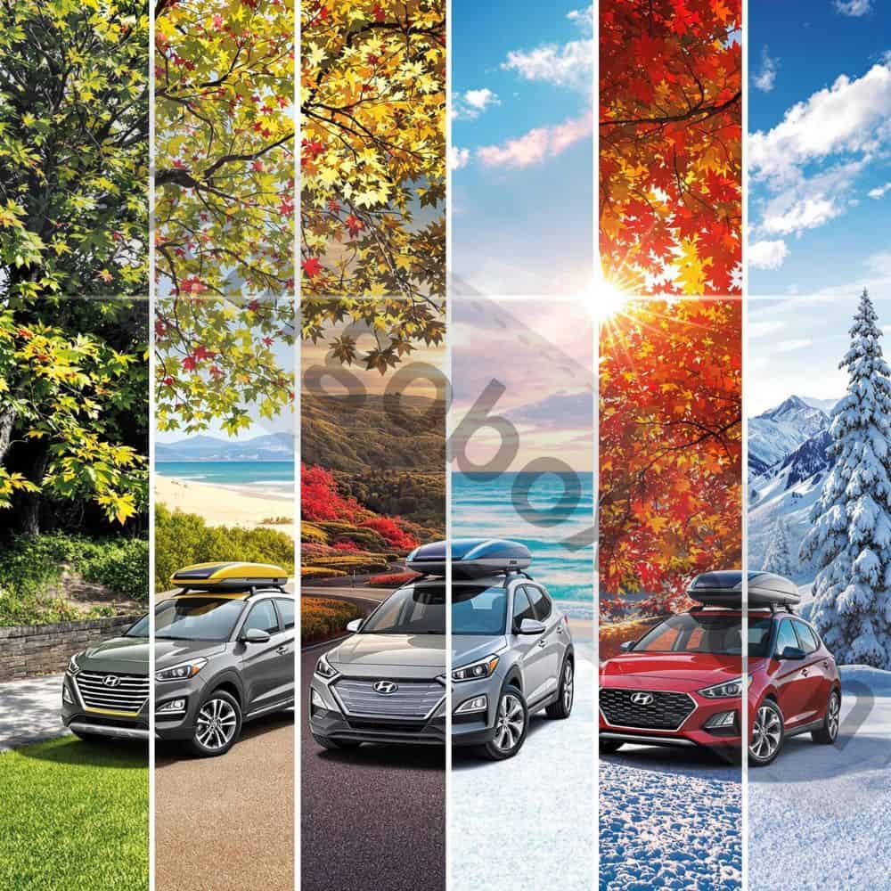 Guide To Hyundai Roof Boxes: Free Up Cabin Space!